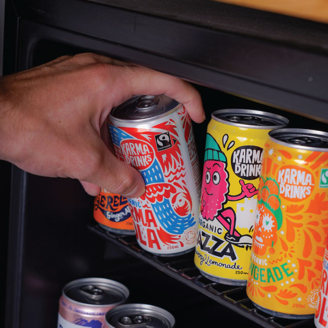 Karma Drinks Bulk Bundle (48 Pack) — Snackfully